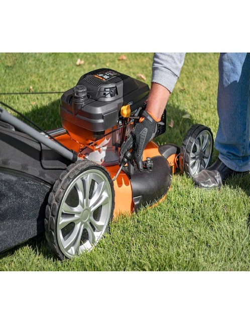 Podadora de pasto a gasolina Truper P-520 | Liverpool.com.mx